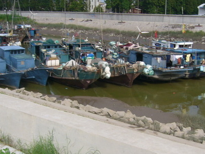 Chongming, Shanghai, China Tourist Information