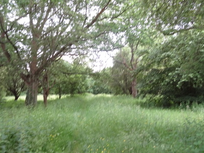 Harrow Weald Common, London, England Tourist Information