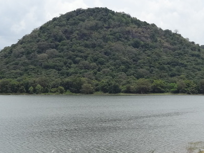 Minneriya Tank, Sri Lanka Tourist Information