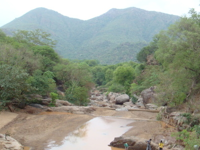 Amirthi Zoological Park, Vellore, India Tourist Information