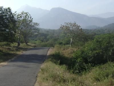 Anaimalai, India Tourist Information