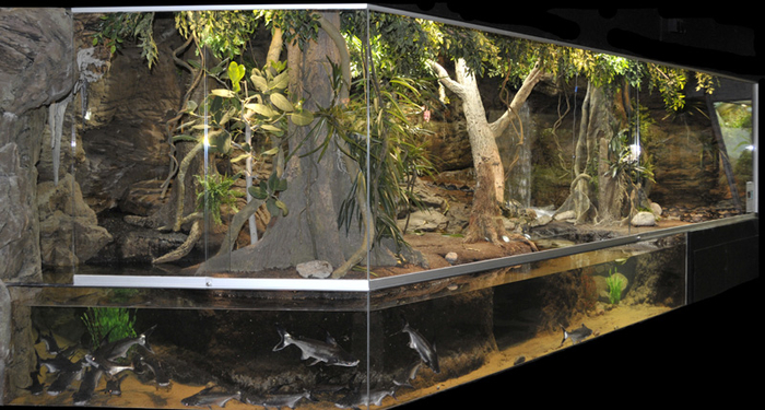 Kolmården Tropicarium, Norrköping, Sweden Photos