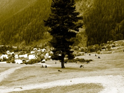 Lidder Valley, Anantnag, India Tourist Information