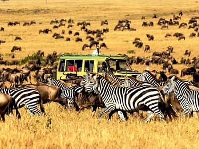 Moshi Cultural Tours & Safari, Moshi, Tanzania Tourist Information