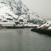 Aappilattoq, Kujalleq, Greenland Tourist Information