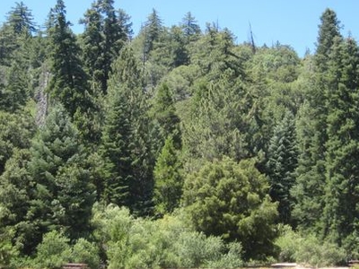 Agua Tibia Wilderness, United States Tourist Information