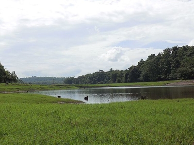Thattekad Bird Sanctuary, Kochi, India Tourist Information