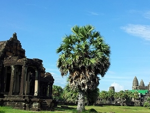 Angkor Royal Temple Tours 2 Days From About Cambodia Travel & Tours