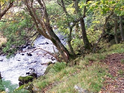 Arkle Beck, England Tourist Information