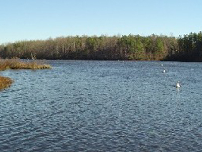 Beaverdam Swamp Reservoir, United States Tourist Information