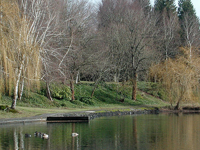 Blue Lake Regional Park, United States Tourist Information
