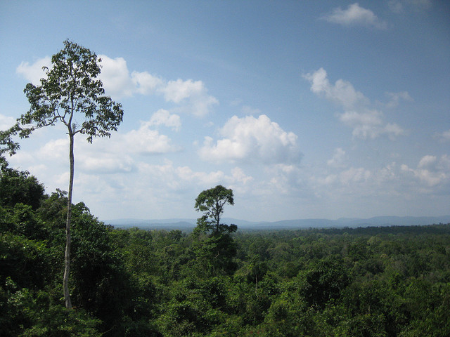 Botum Sakor National Park, Cambodia Photos
