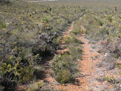 Badgingarra National Park, Australia Social Travel Network - Touristlink