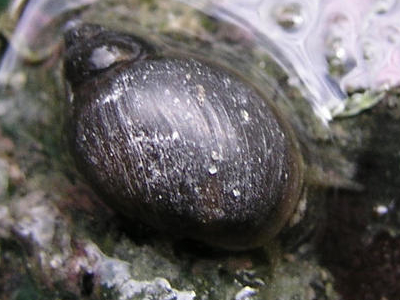 Cave and Basin National Historic Site, Canada Tourist Information