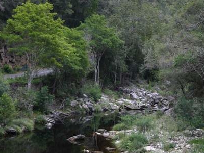 Bloukrans Pass, South Africa Tourist Information