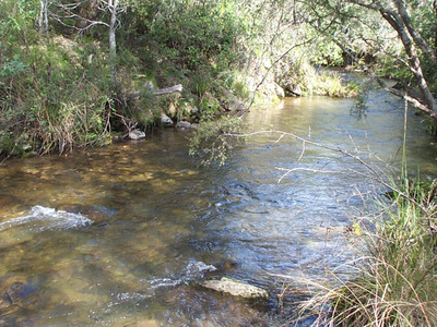 Buckland River, Australia Tourist Information