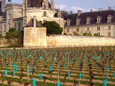 Chateau de Breze, Breze, France Tourist Information