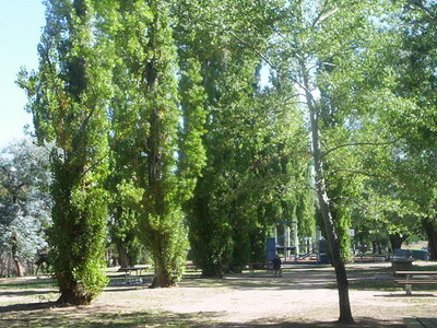 Cotter River, Australia Tourist Information