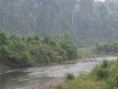 Dehing Patkai Wildlife Sanctuary, Dibrugarh Districts, India Tourist ...