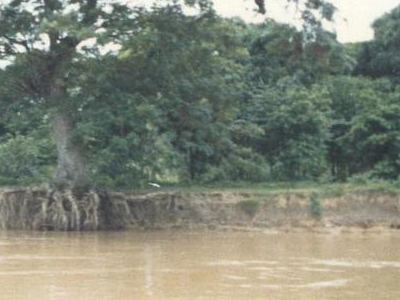 Apure River, Guasdualito, Venezuela Tourist Information