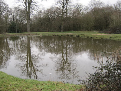 Fryent Country Park, London, England Tourist Information