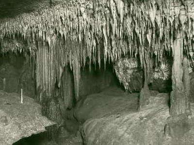 Buchan Caves, Australia Tourist Information