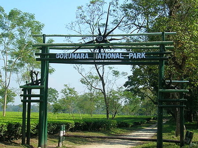 Gorumara National Park, India Social Travel Network - Touristlink