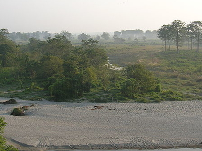 Gorumara National Park, India Social Travel Network - Touristlink