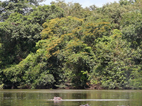 National Parks in Sierra Leone