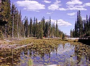 Isa Lake, United States Tourist Information