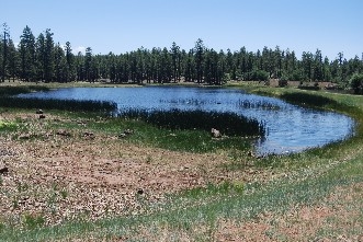 J. D. Dam Lake, United States Tourist Information