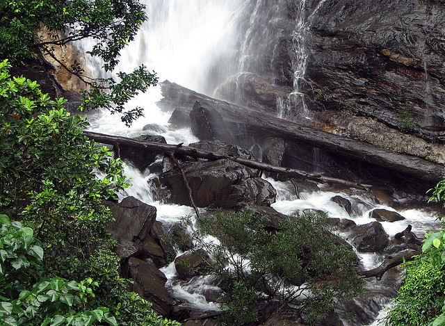 Kadambi Falls, Kudremukh, India Photos