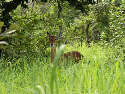 Kainji National Park, Nigeria Social Travel Network - Touristlink