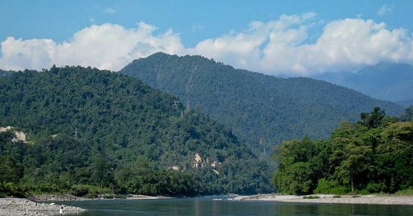 Jungle Tours in Assam - Touristlink
