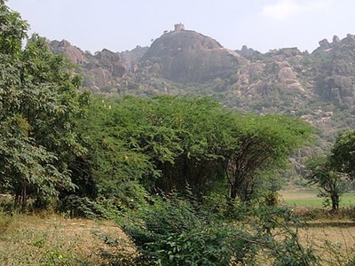 Kondaveedu Fort, Guntur, India Tourist Information