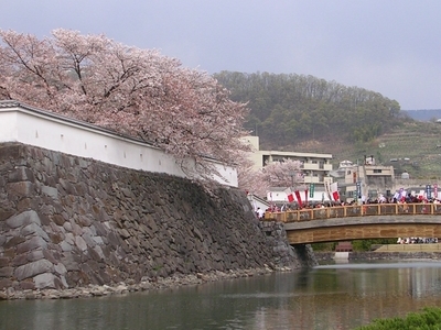 Maizuru Castle Park, Japan Tourist Information
