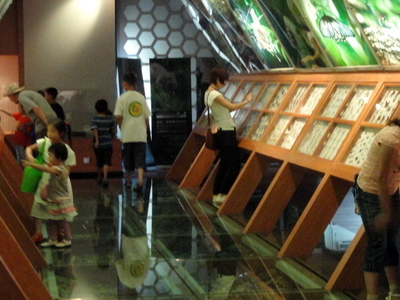 Kunming Natural History Museum of Zoology, Kunming, China Tourist ...