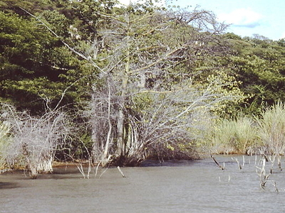 Rukwa Valley, Tanzania Tourist Information