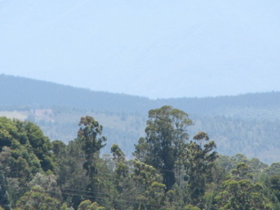 Langkloof Mountains, Plettenberg Bay, South Africa Tourist Information