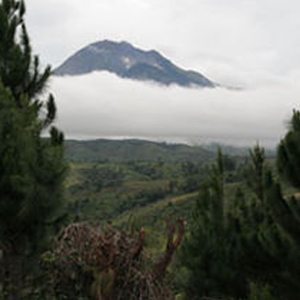 Mounts Iglit-Baco National Park, Philippines Social Travel Network ...