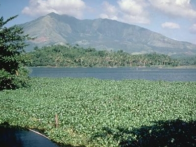 Mount Iriga, Iriga, Philippines Tourist Information