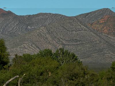 Mule Mountains, United States Tourist Information