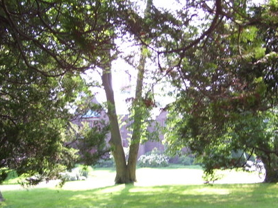 Malbone Castle And Estate, Newport, United States Tourist Information