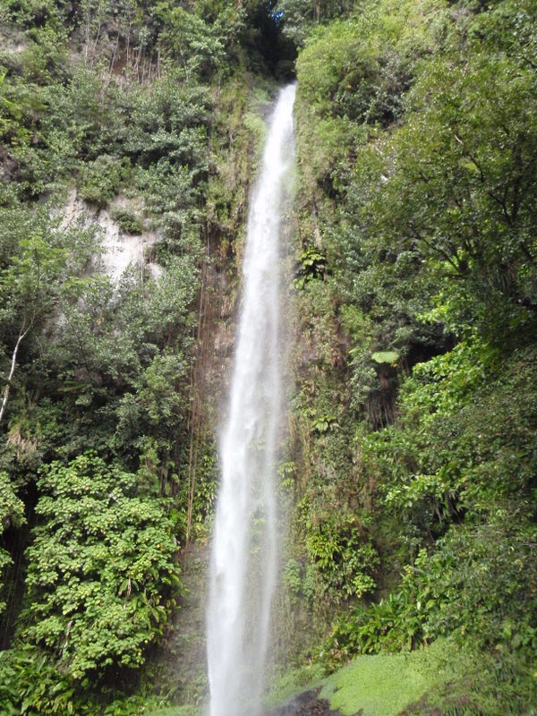 Morne Trois Pitons National Park, Dominica Photos