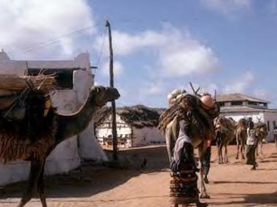 Gabiley, Somalia Social Travel Network - Touristlink