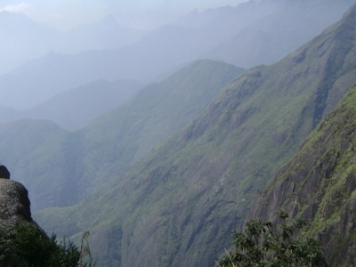 Palani Hills Wildlife Sanctuary and National Park, India Social Travel ...