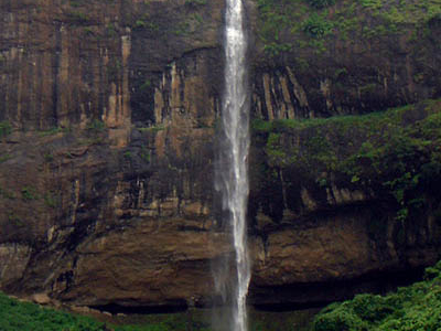 Pandavkada Falls, Mumbai, India Tourist Information