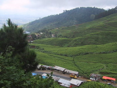 Puncak, Indonesia Tourist Information