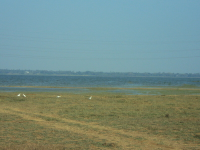 Red Hills Lake, Tiruvallur, India Tourist Information