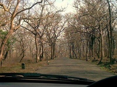 Sathyamangalam, India Social Travel Network - Touristlink